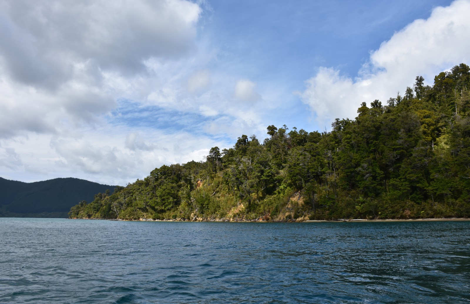 Pelorus Sound | Cruise Guide