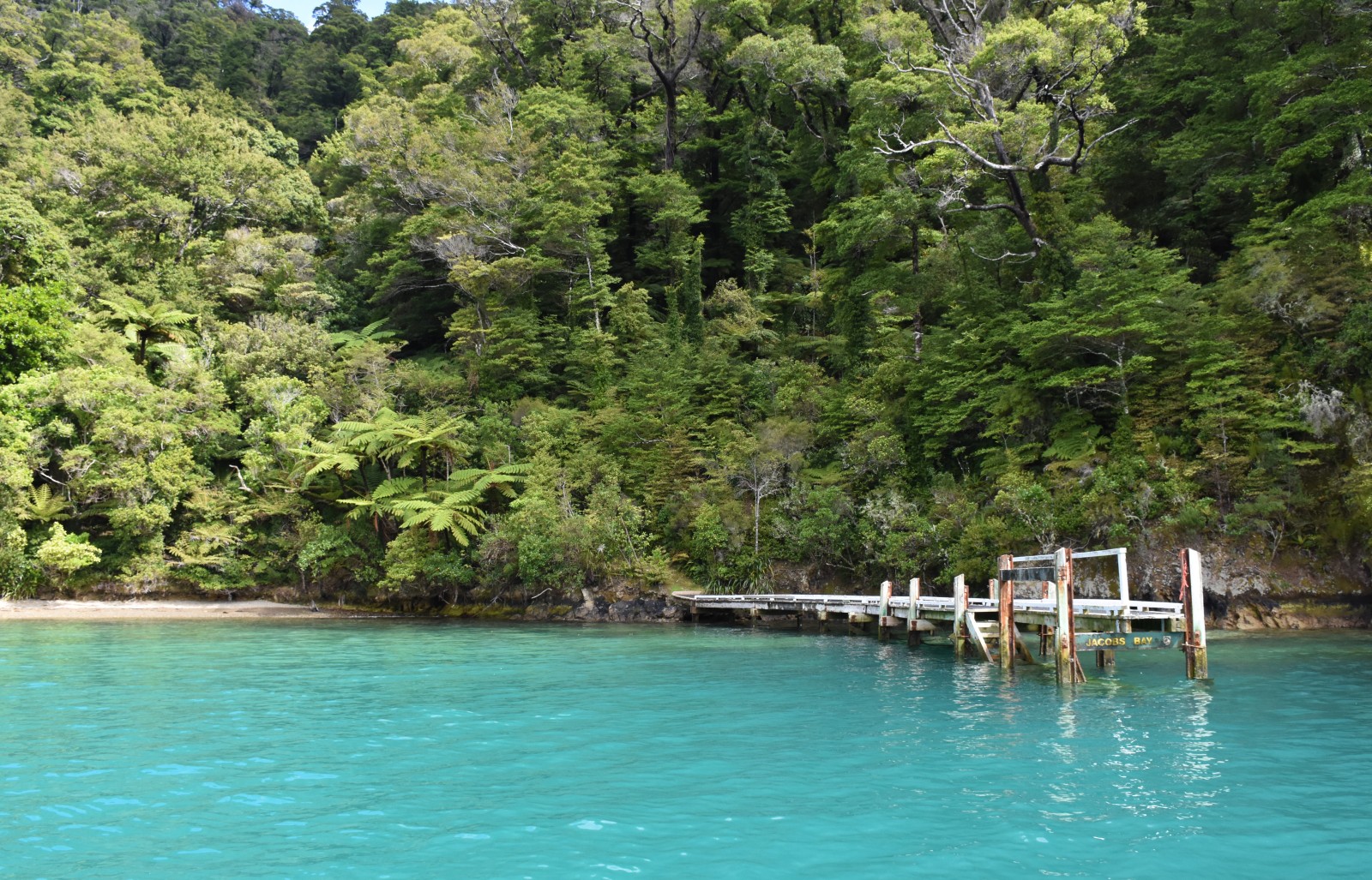 Pelorus Sound | Cruise Guide