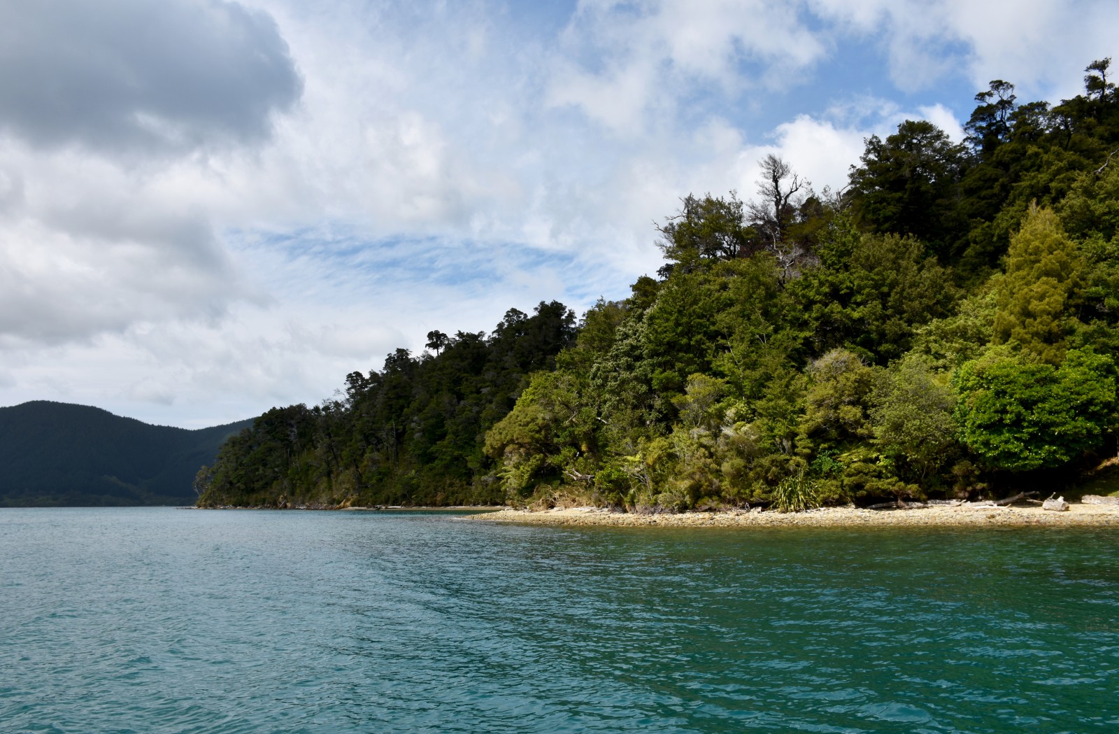 Pelorus Sound | Cruise Guide