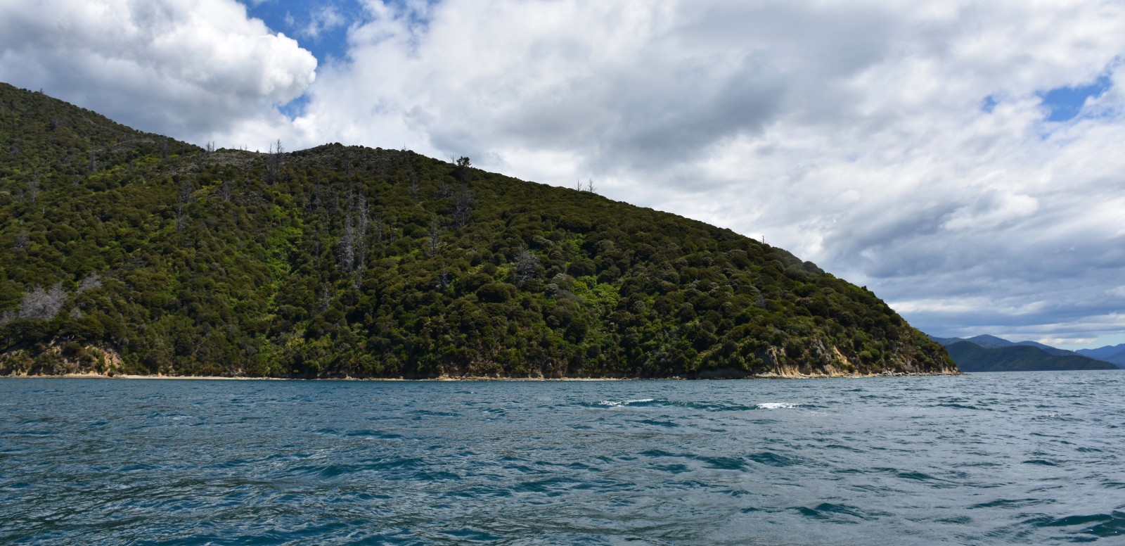 Queen Charlotte Sound | Cruise Guide