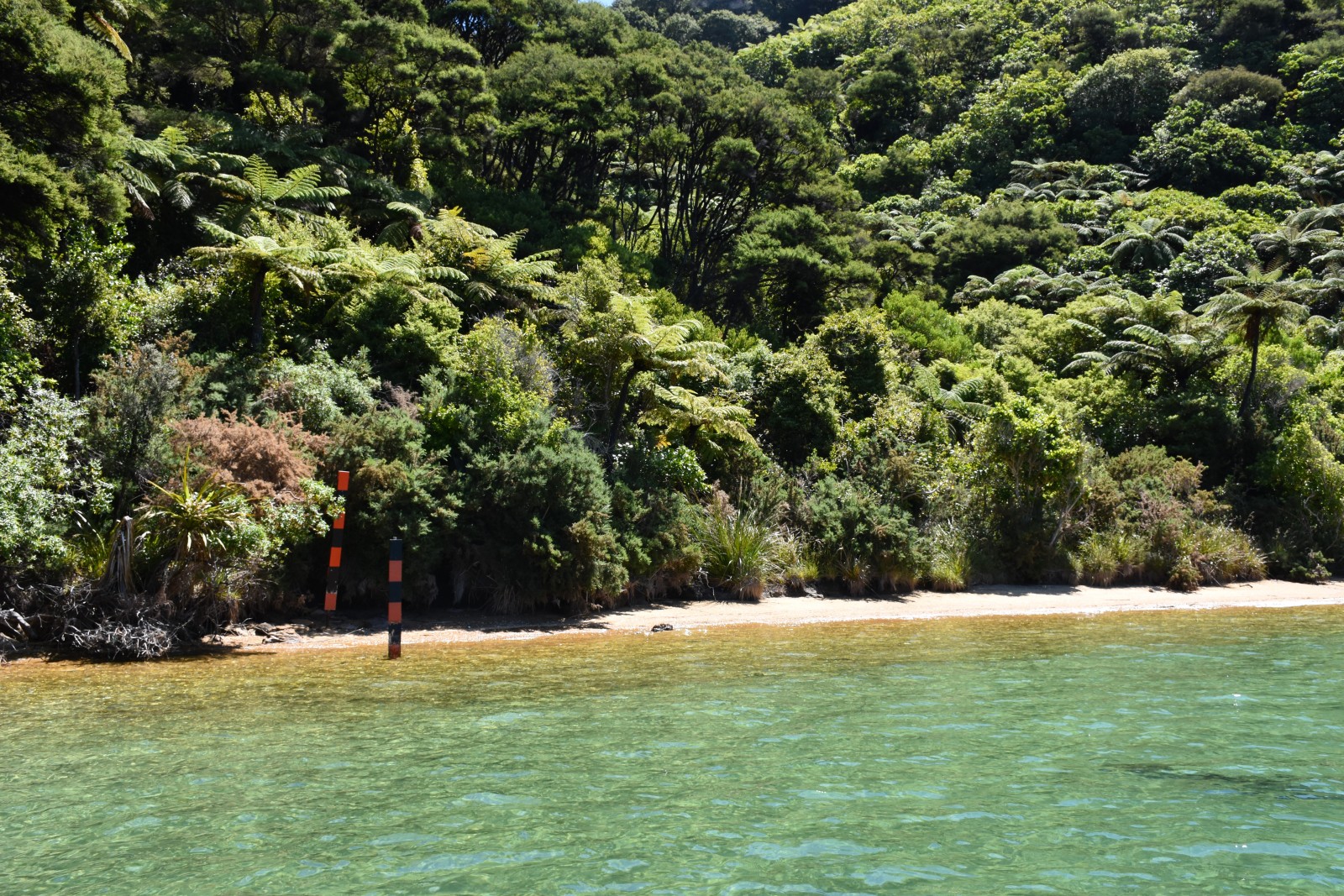Queen Charlotte Sound | Cruise Guide